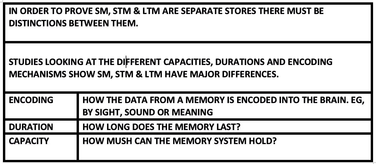 TYPES OF MEMORY AND FEATURES OF EACH MEMORY STORE — MEMORY | Enhance ...