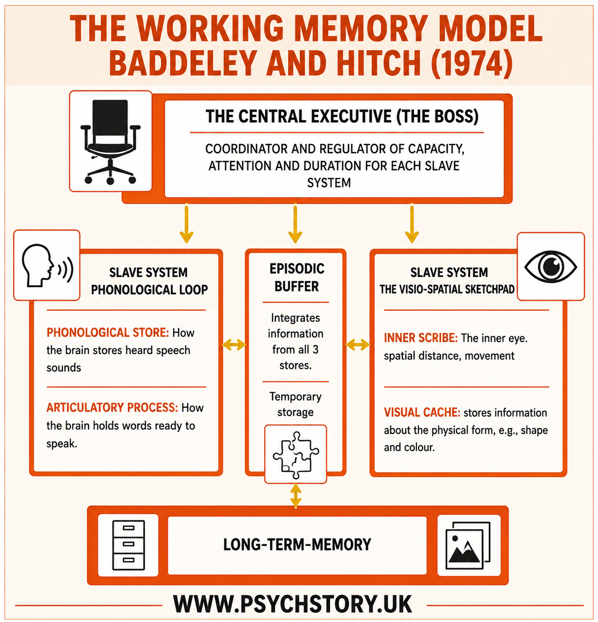 THE WORKING MODEL OF MEMORY — MEMORY | Enhance Memory Skills Today ...