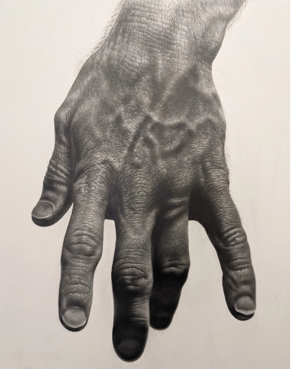 Graphite — Jesse D Stern