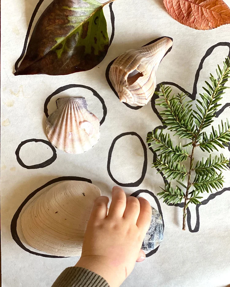 Use Shells for Process Art and Play Based Learning — The Creativity ...