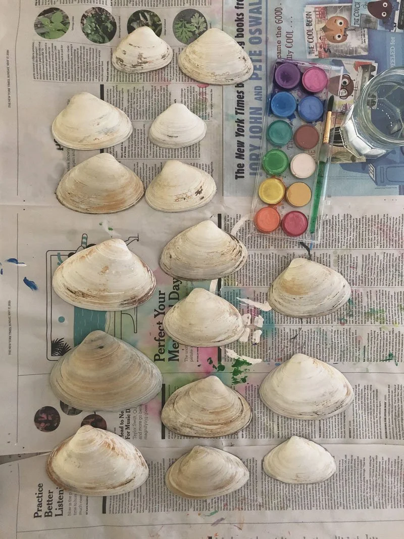 Use Shells for Process Art and Play Based Learning — The Creativity ...