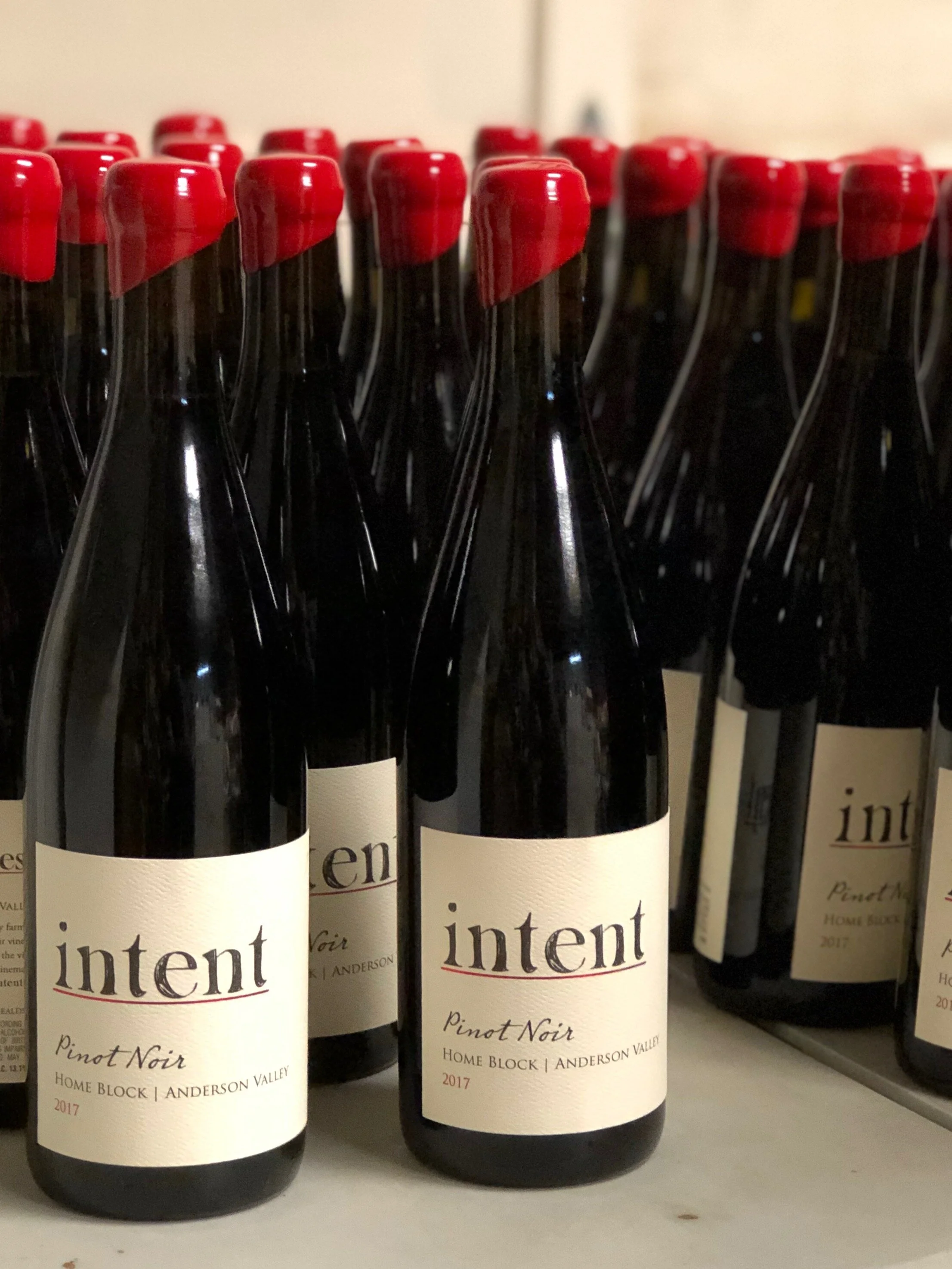 intent wines