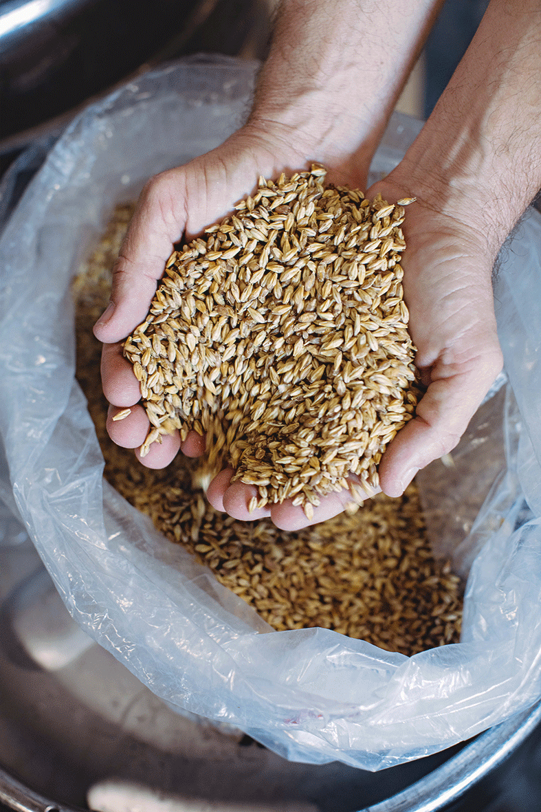 Bermuda Craft Brewing