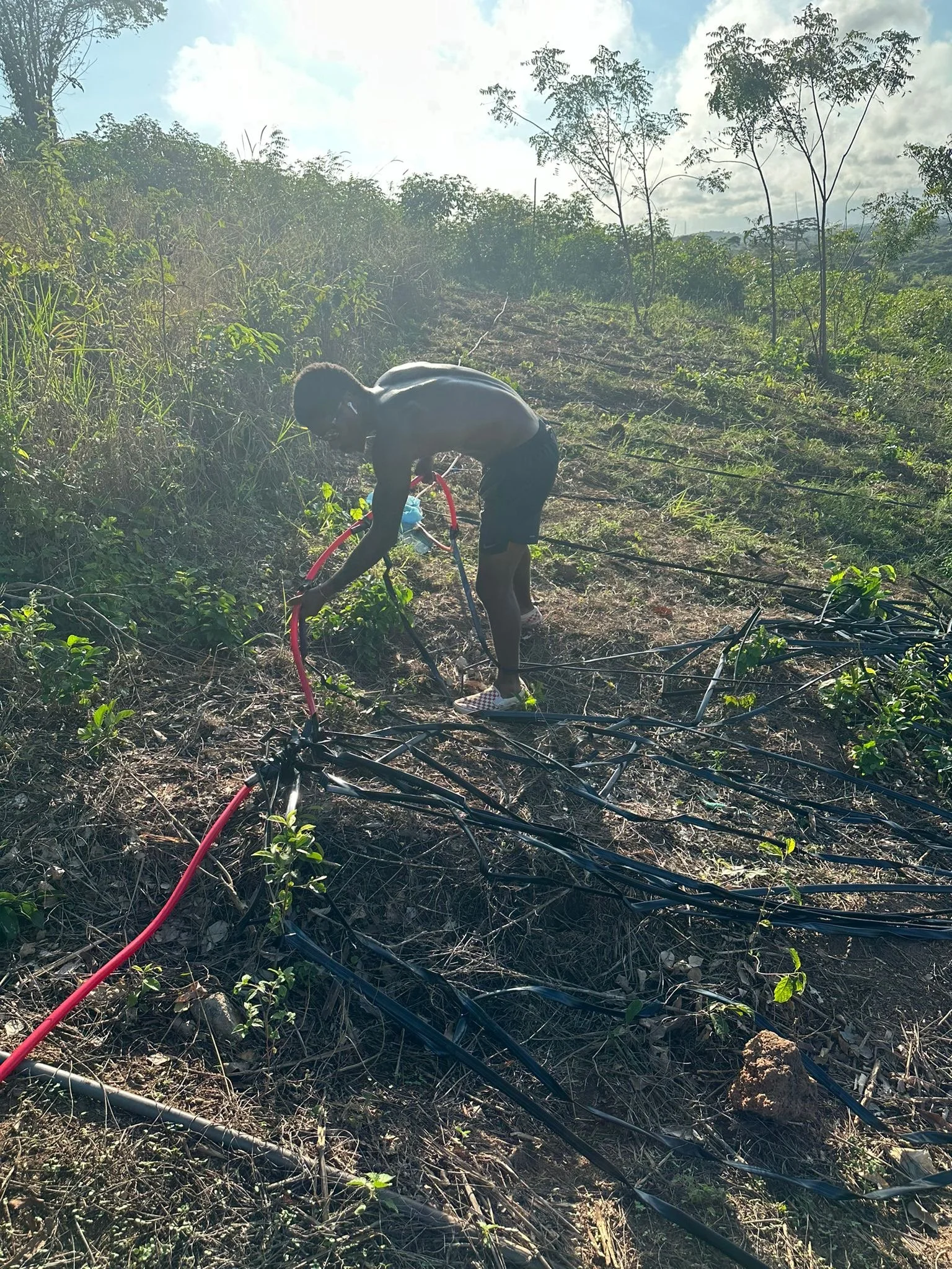 Moringa Project — OBey Foundation