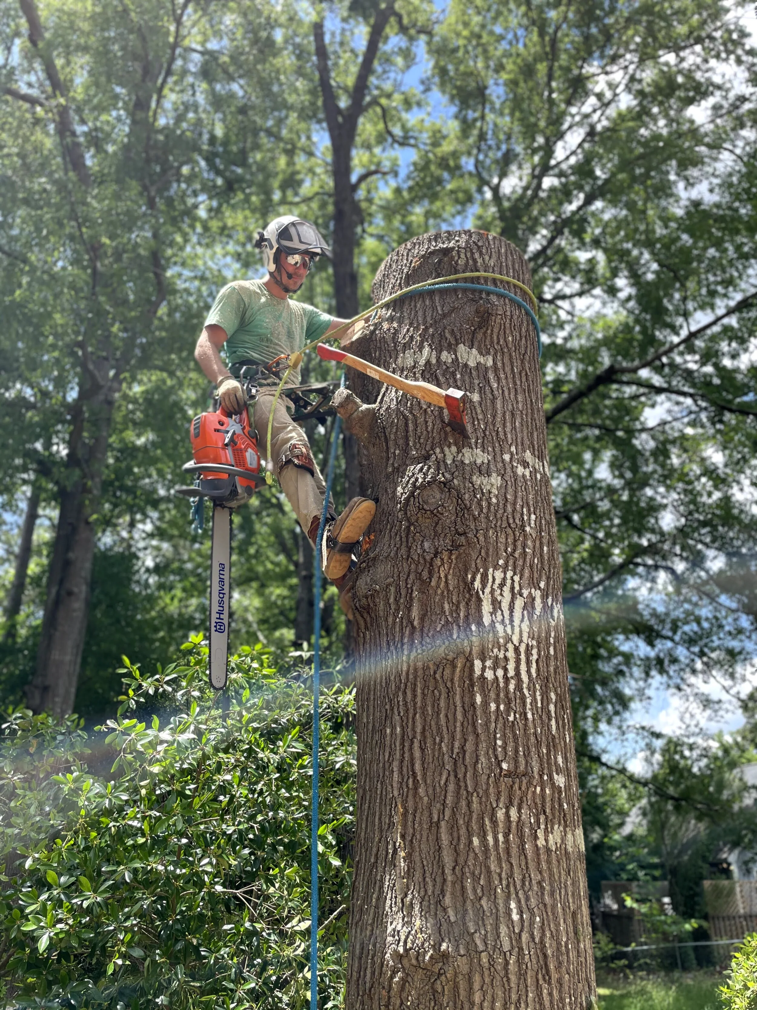 Watson Arbor Service