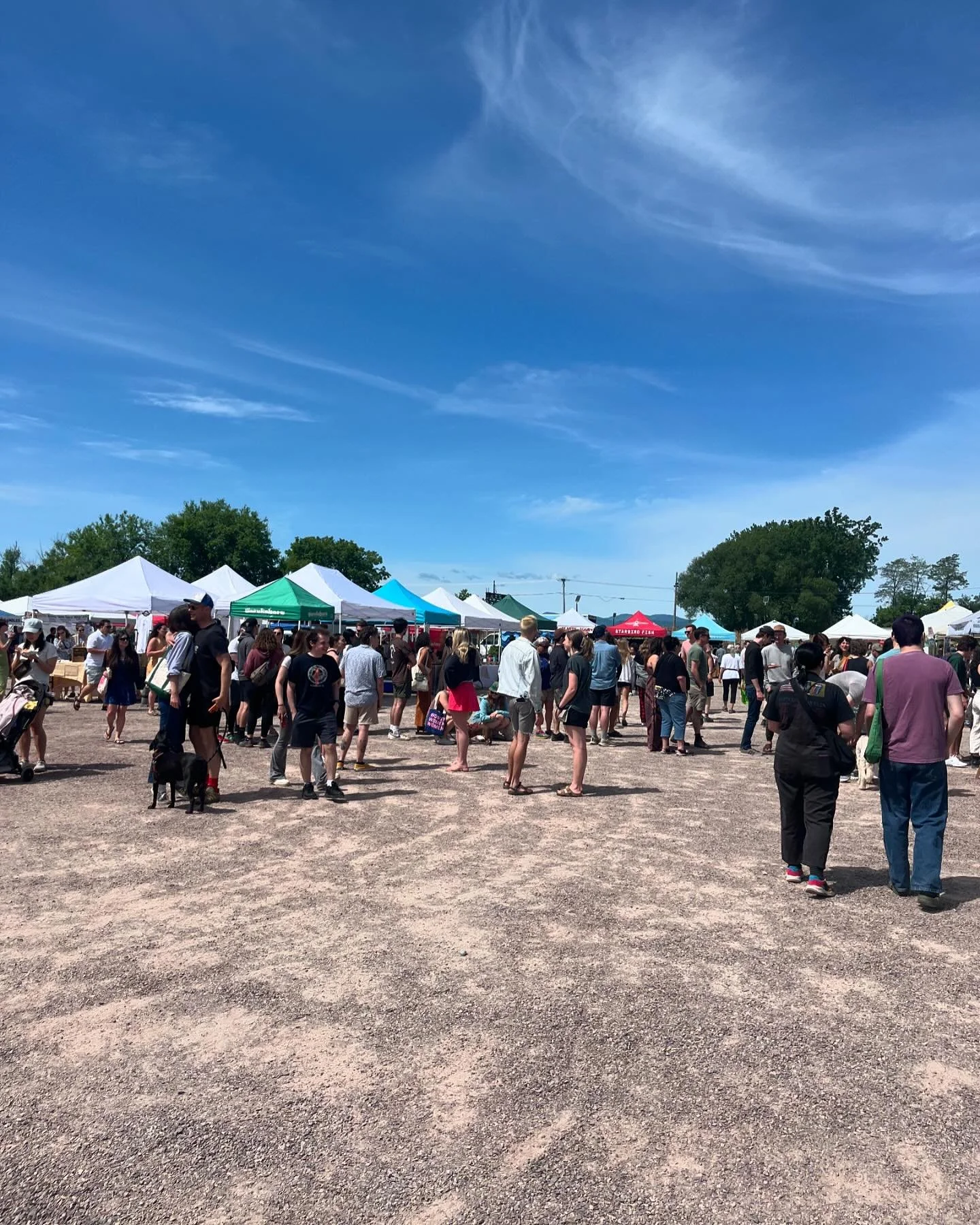 Burlington Farmers Market