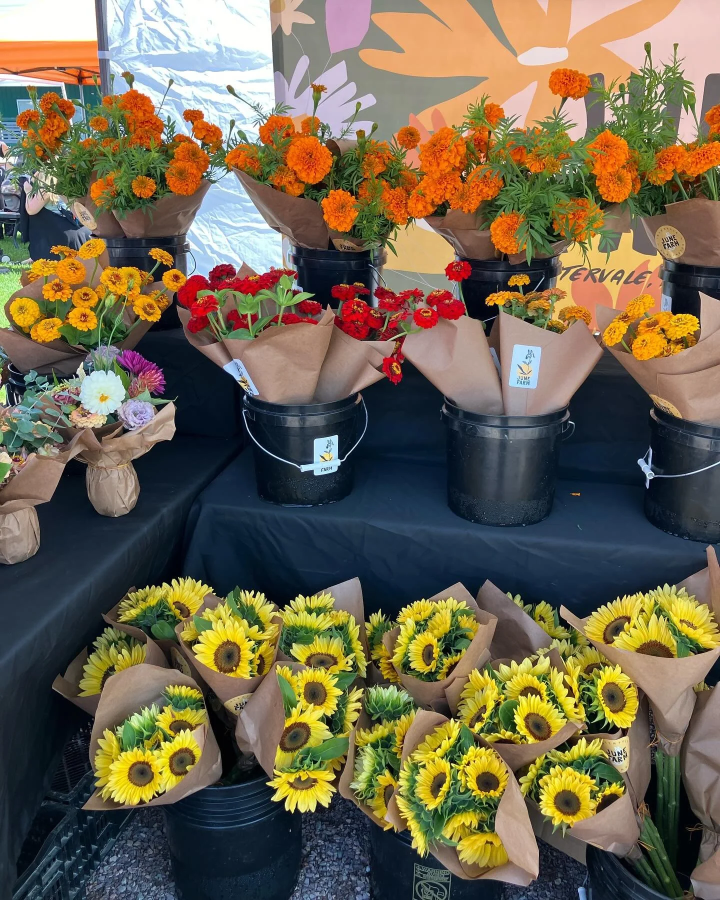 Burlington Farmers Market