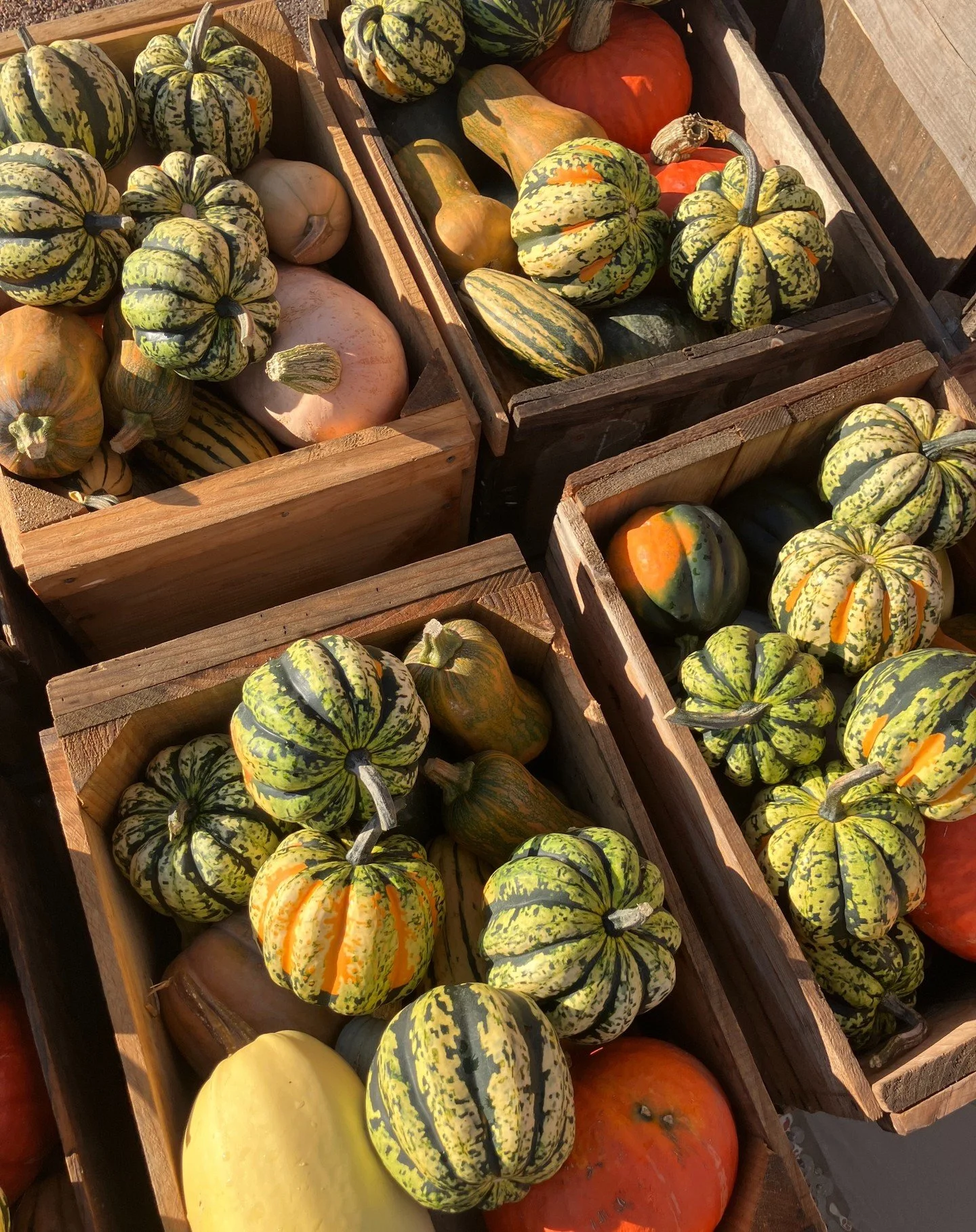 Burlington Farmers Market