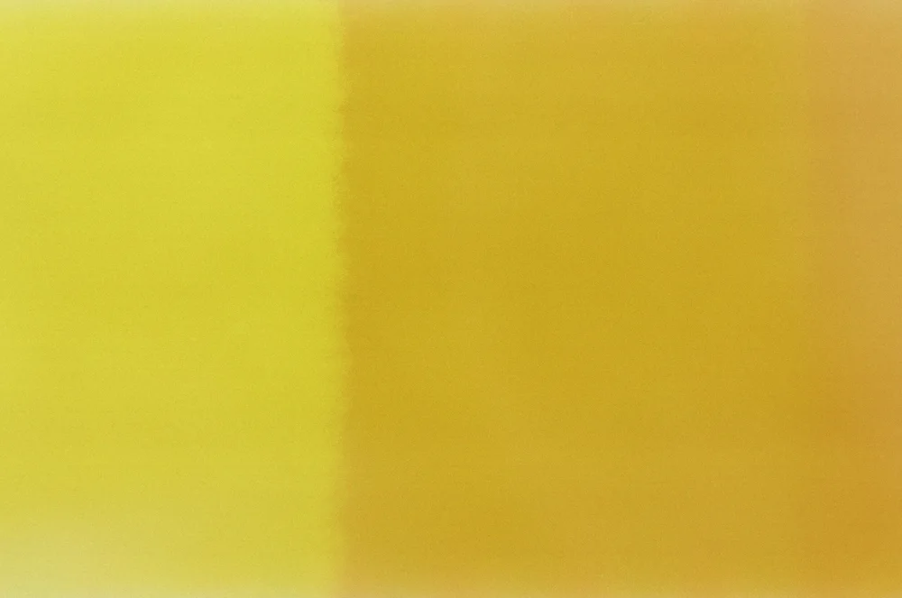 Middle School West Auckland