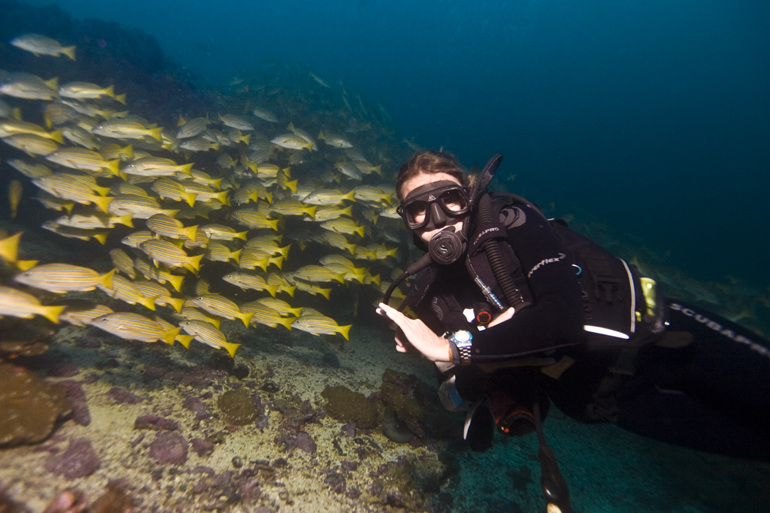 Sandra Bessudo — Women of the Seas