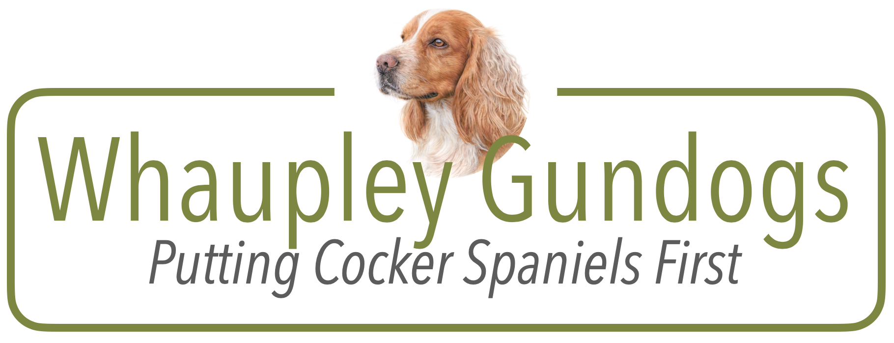 How Do I Teach My Dog To Crawl In Commando