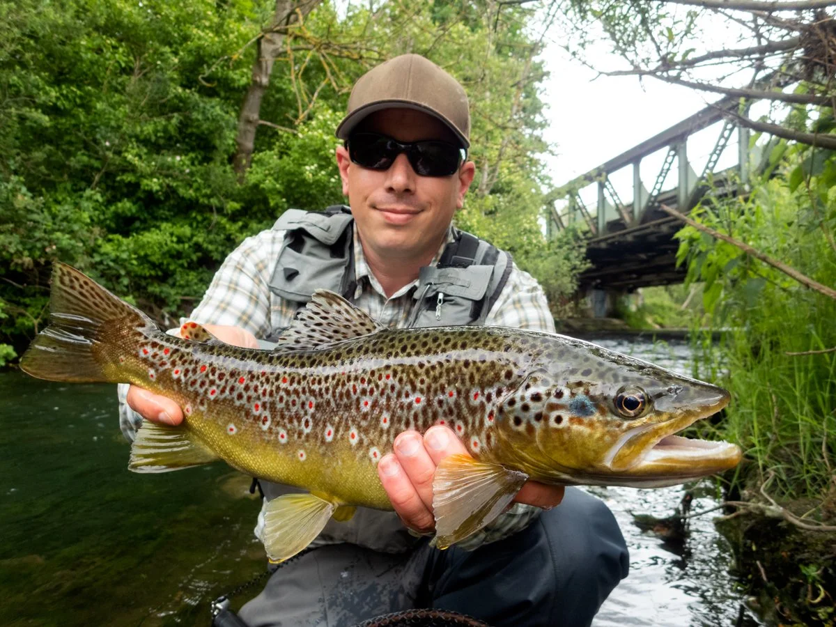 Harald Bayler — The Floating Fly