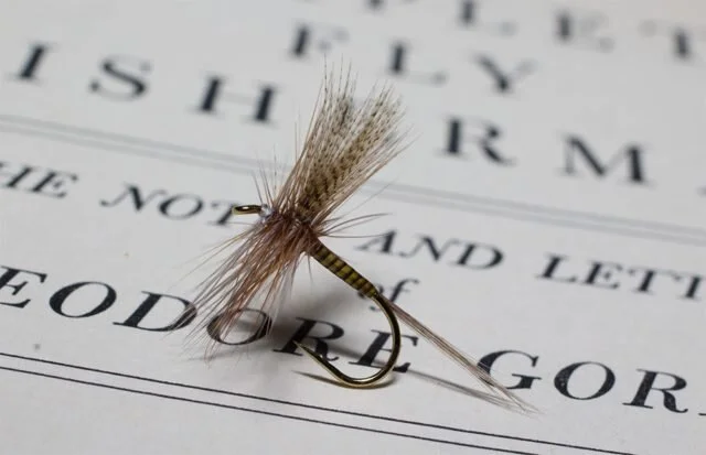 Ed Van Put — The Floating Fly