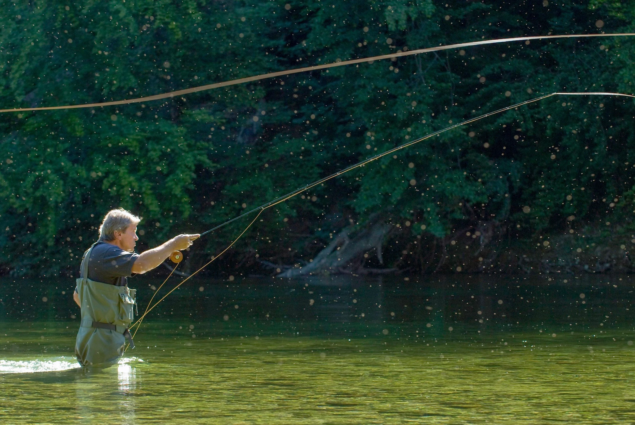 Roman Moser — The Floating Fly