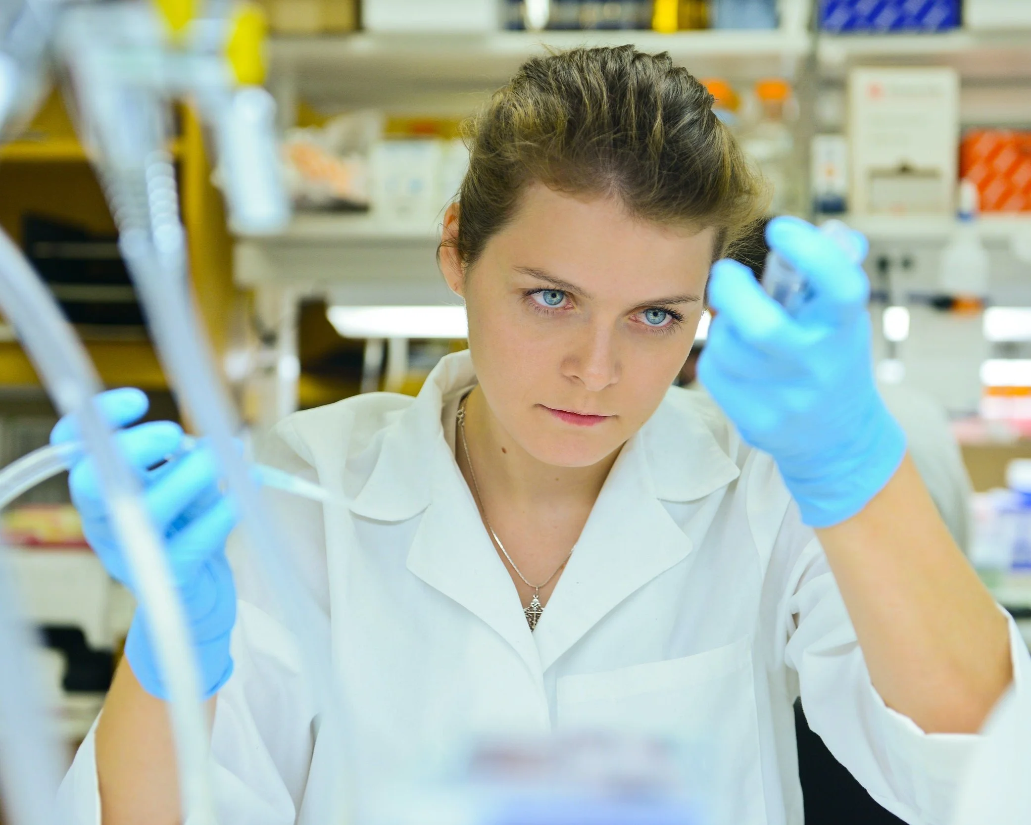 Our Team — The Elena Piskounova Lab