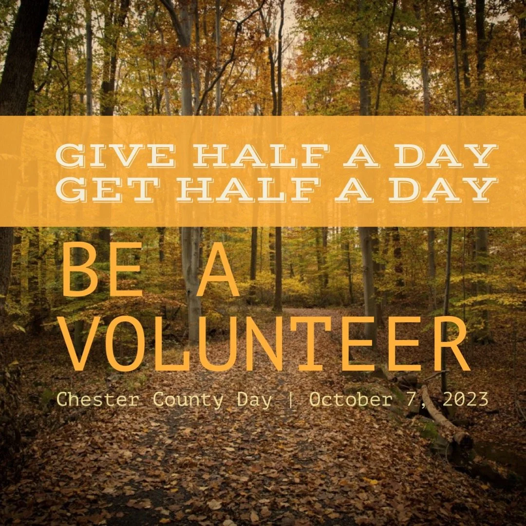 Chester County Day