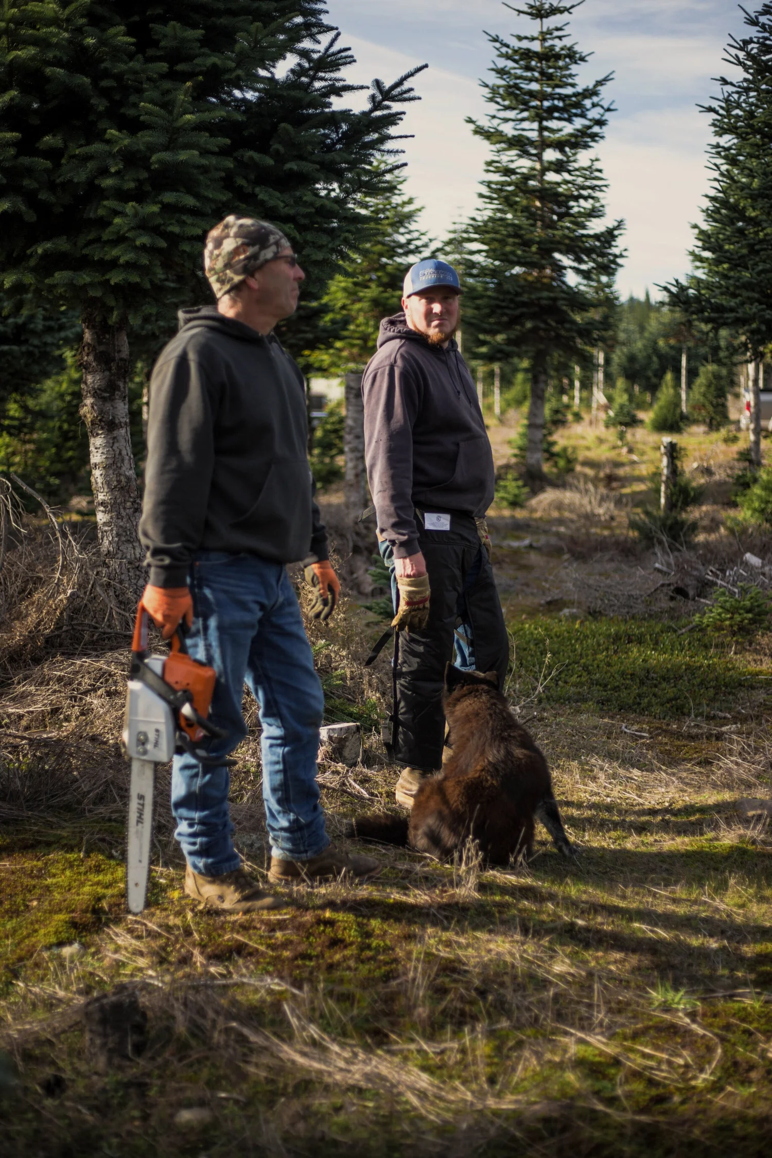 Christmas Trees — Hunter Farms