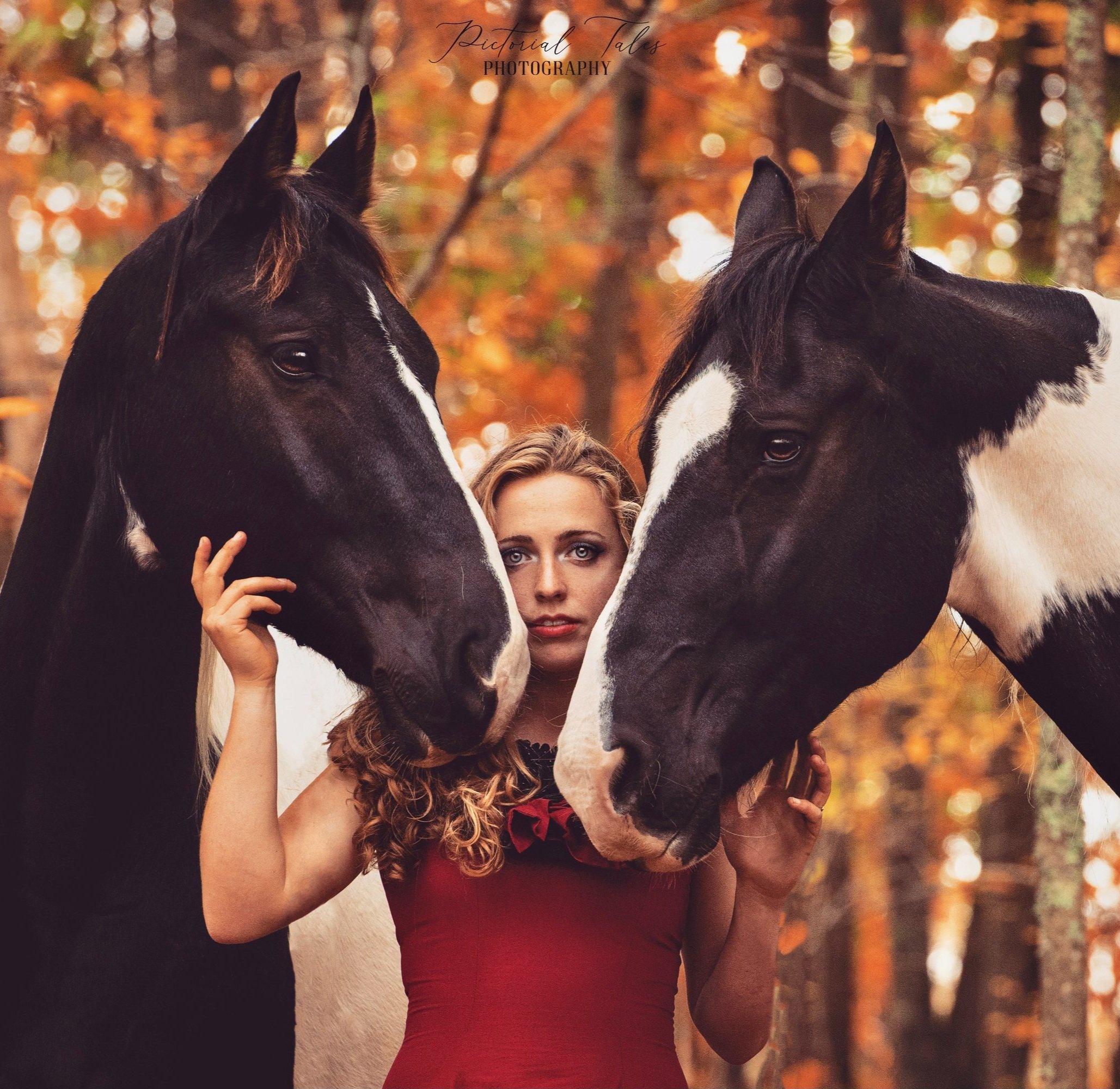 Inspiring Liberty Work Performances — Braveheart Beasts - Liberty Work ...