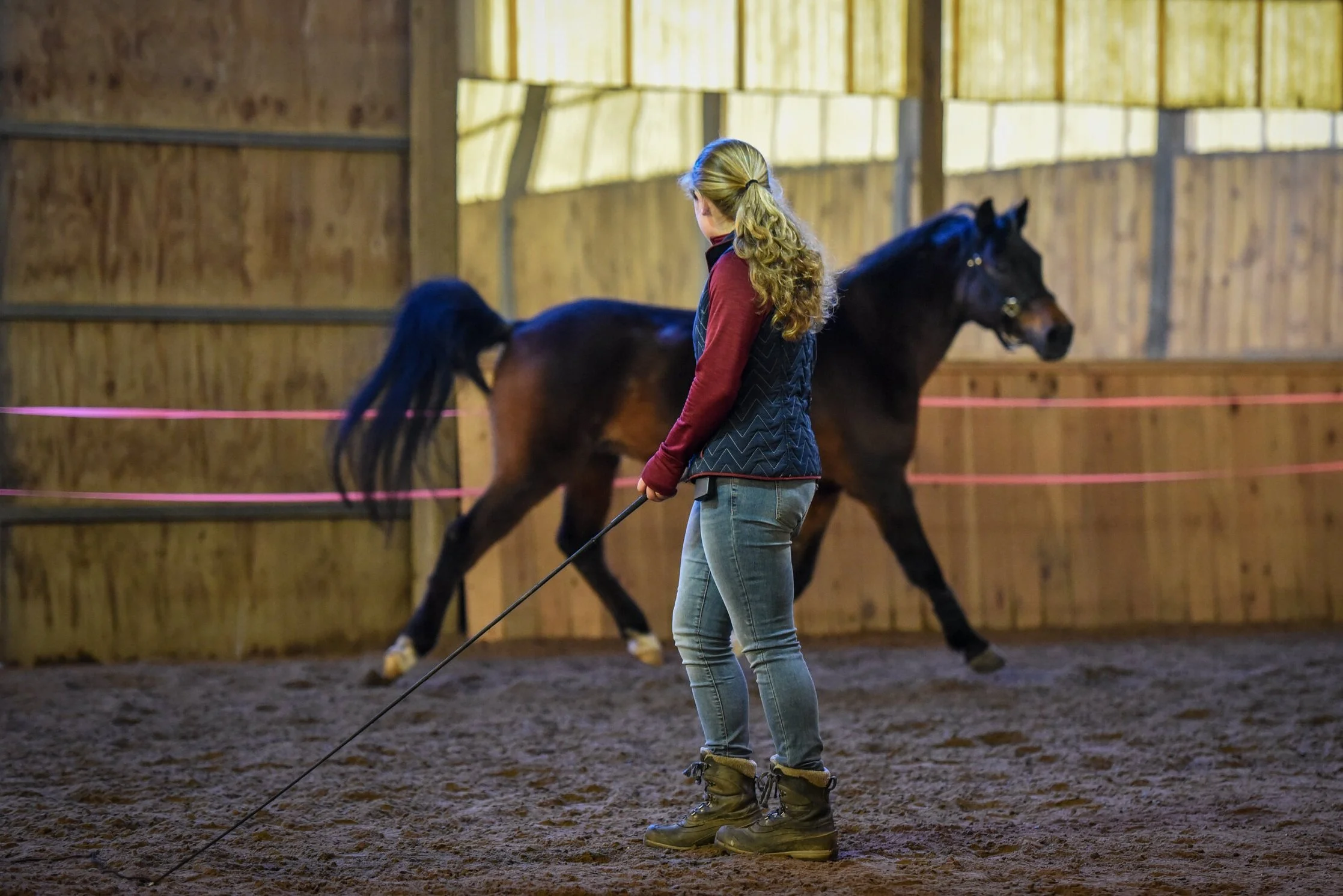 Braveheart Beasts - Liberty Work - Horse Trainer