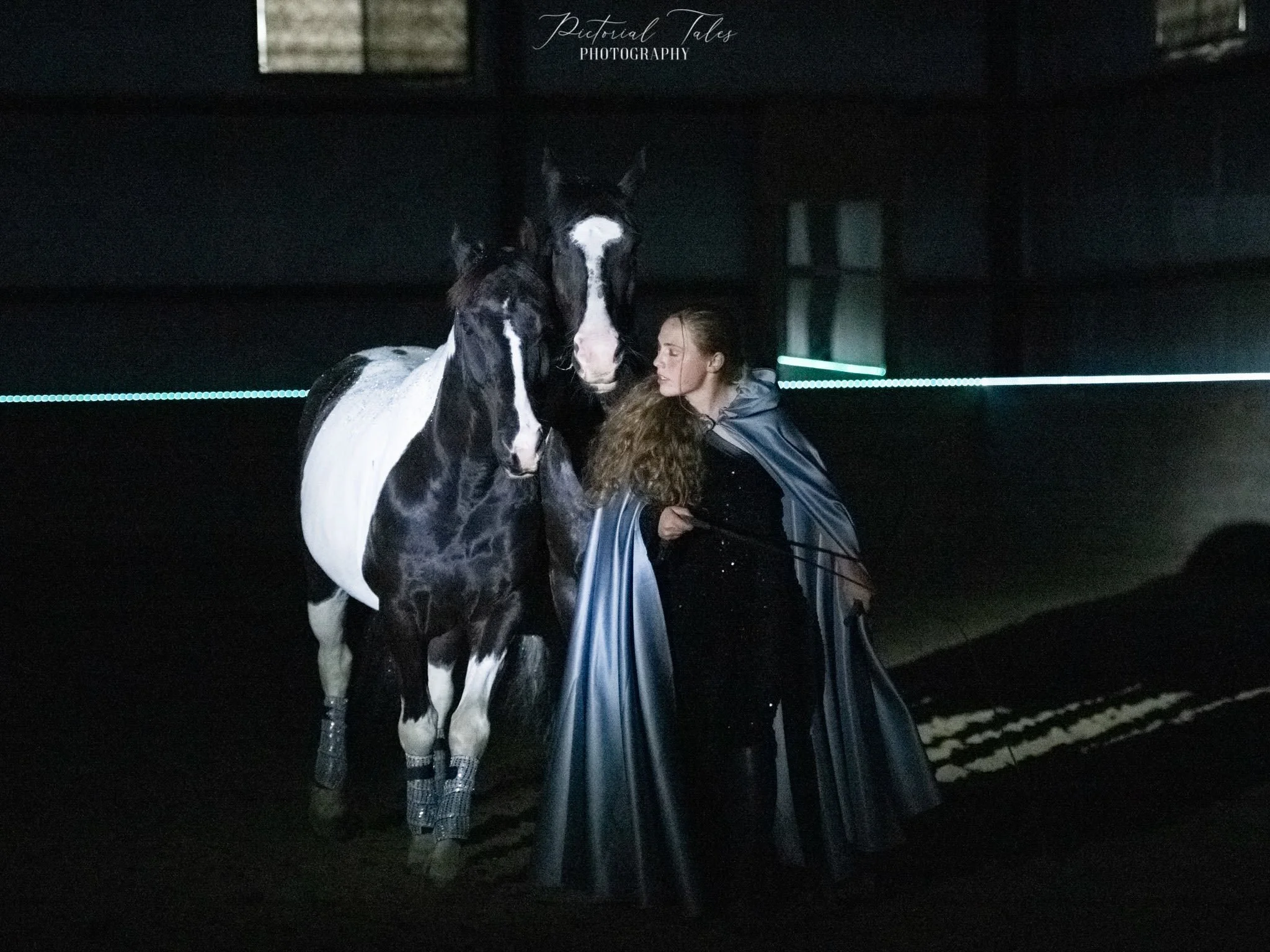 Performances & Media — Braveheart Beasts - Liberty Work - Horse Trainer