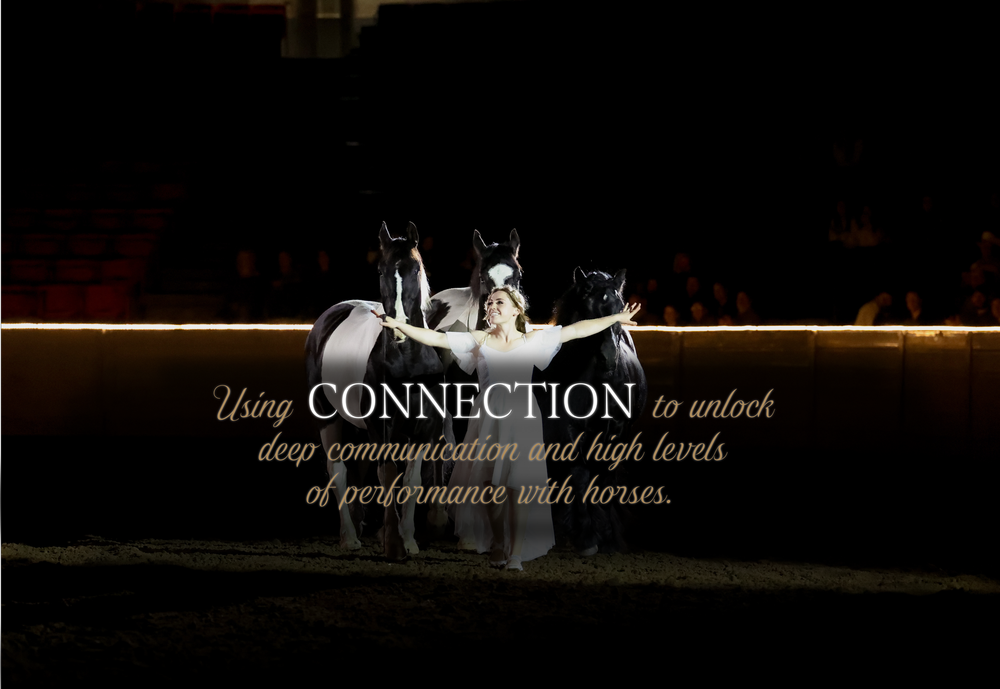 Braveheart Beasts - Liberty Work - Horse Trainer