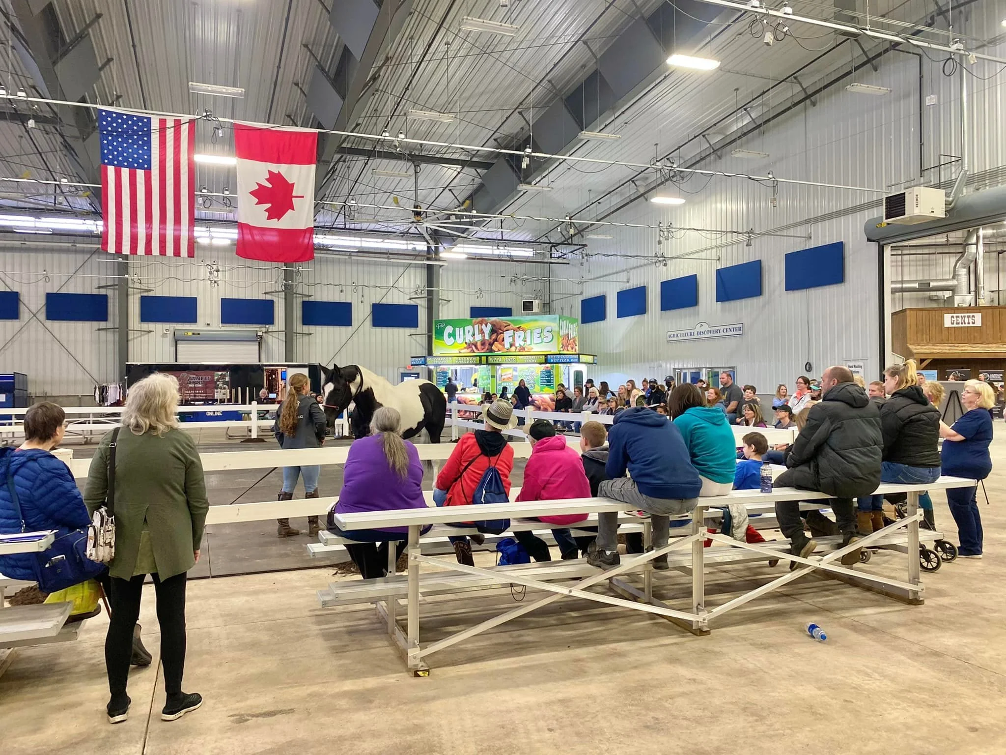 Clinics & Demos — Braveheart Beasts - Liberty Work - Horse Trainer