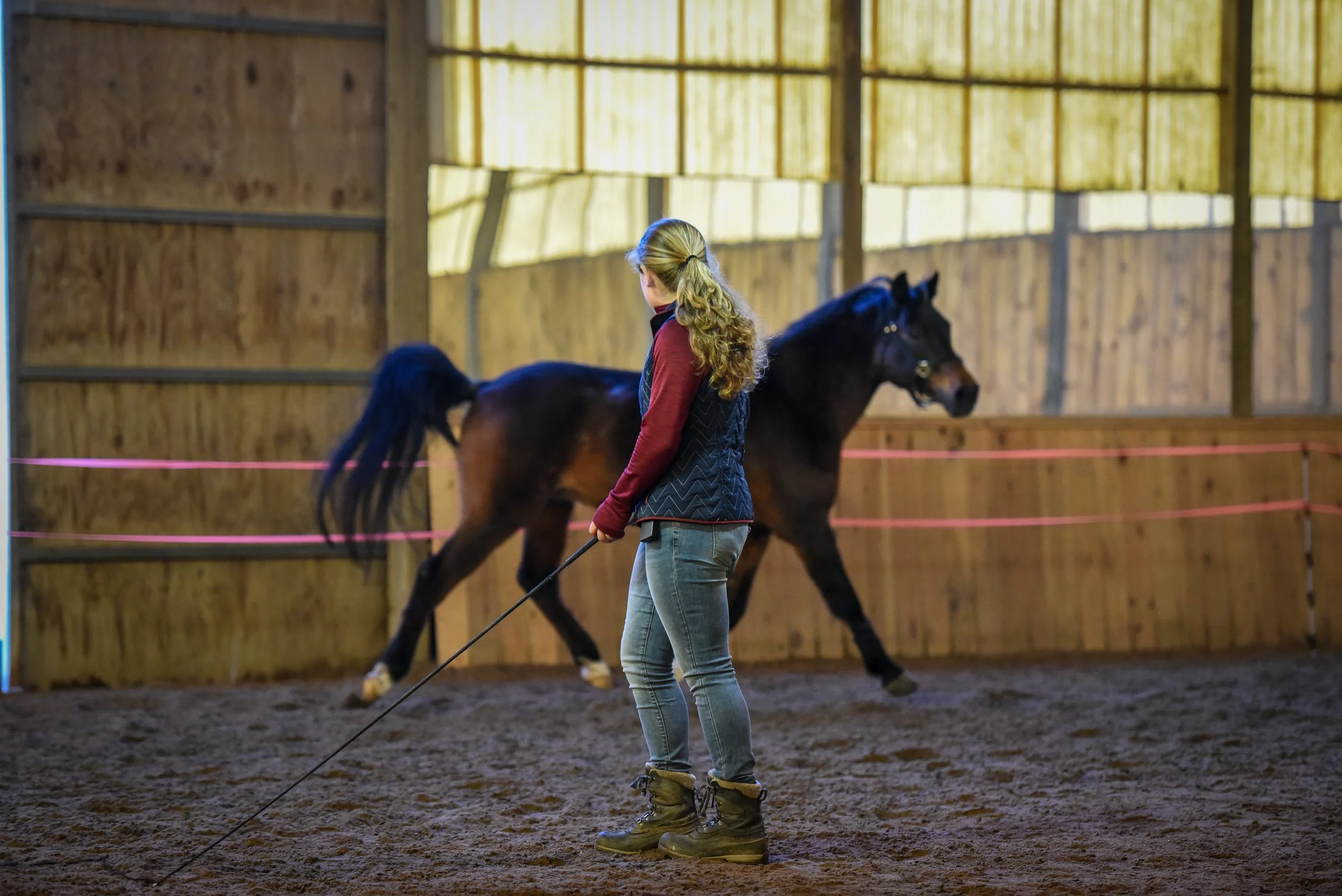 Clinics & Demos — Braveheart Beasts - Liberty Work - Horse Trainer