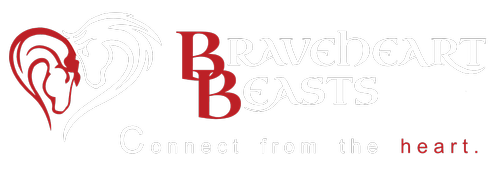 Braveheart Beasts - Liberty Work - Horse Trainer