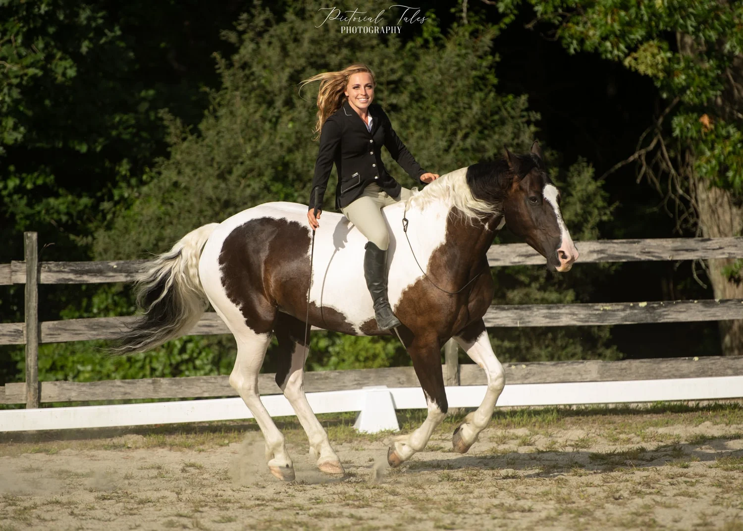 Braveheart Beasts - Liberty Work - Horse Trainer