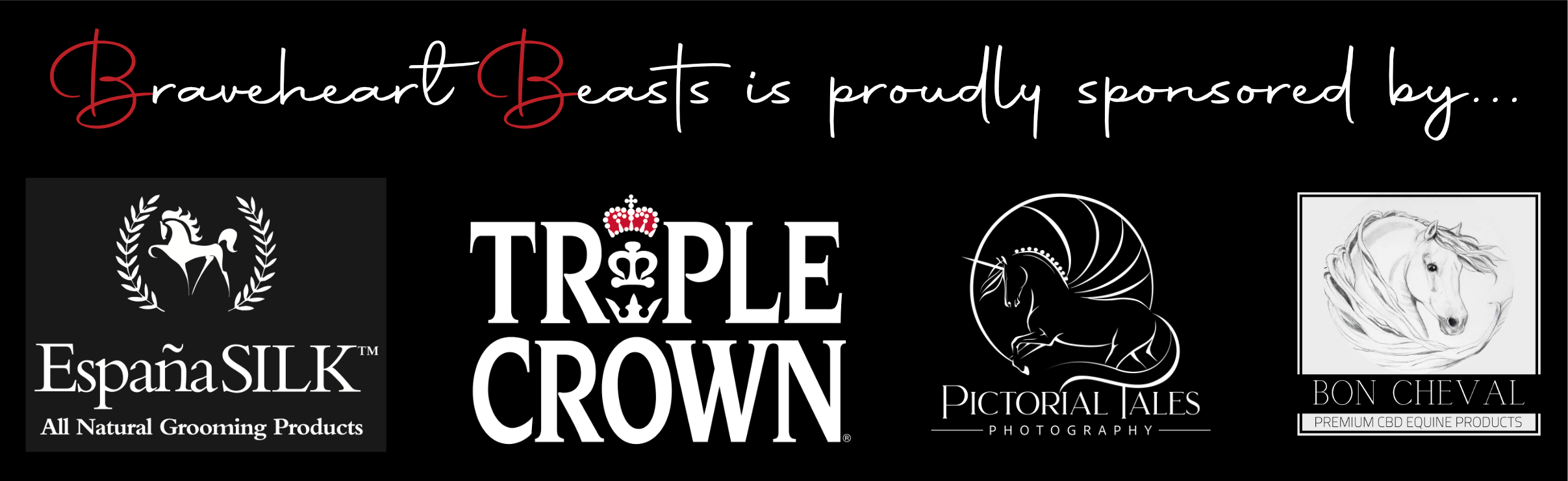 Braveheart Beasts - Liberty Work - Horse Trainer