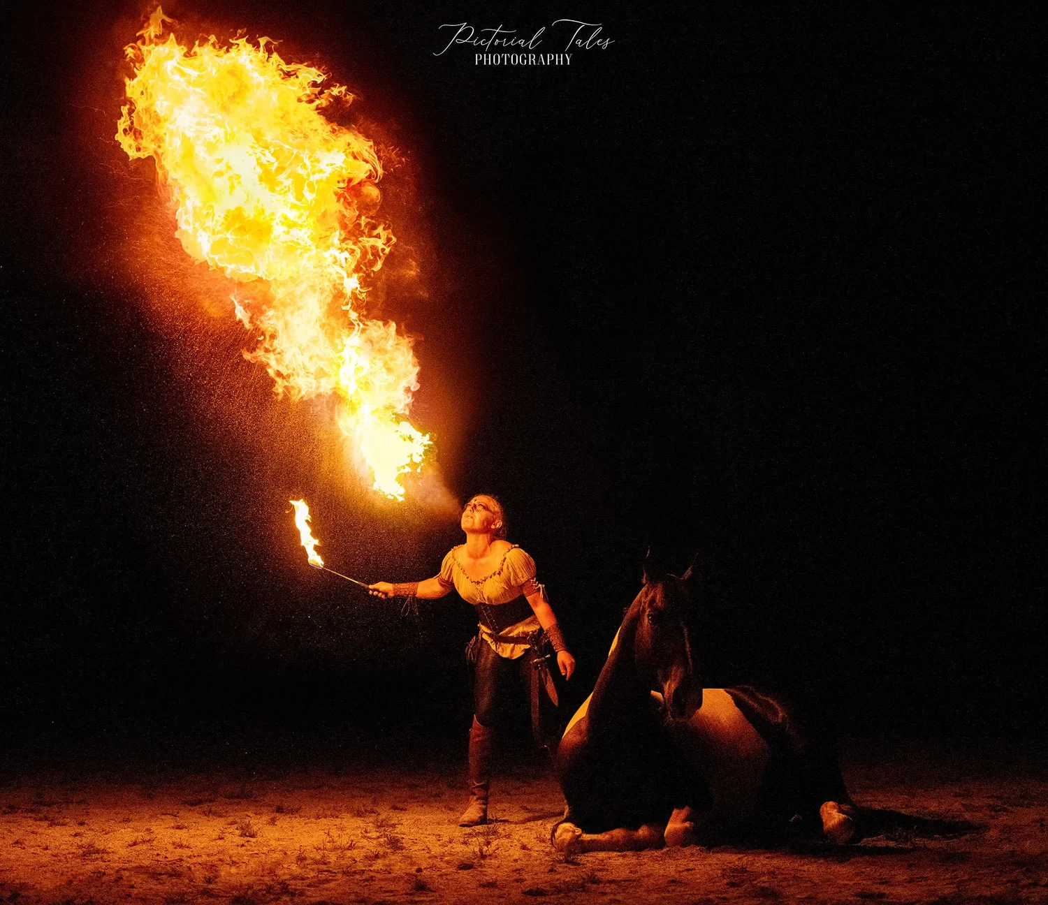 Braveheart Beasts - Liberty Work - Horse Trainer