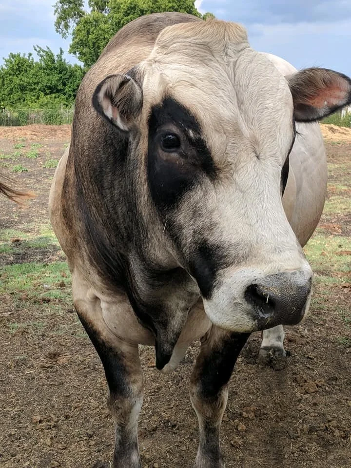 About Us — Raintree Ranch