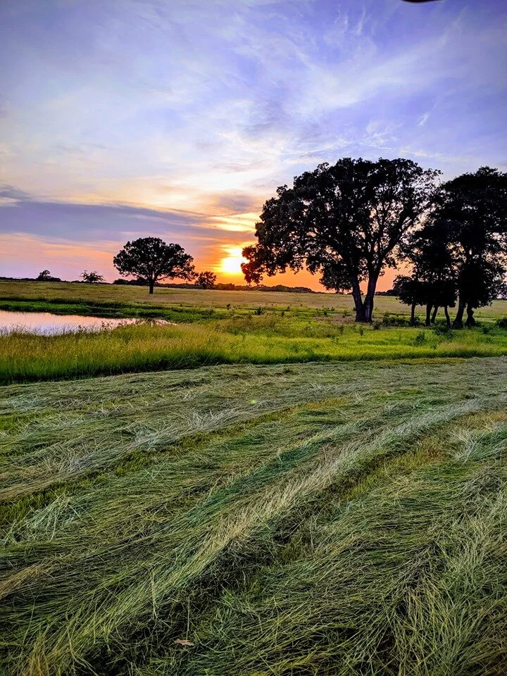 About Us — Raintree Ranch