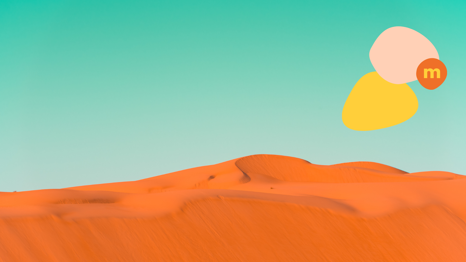 Monicat Data "We Make Teams Smarter"