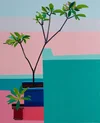 Guy Yanai — Hunted Projects