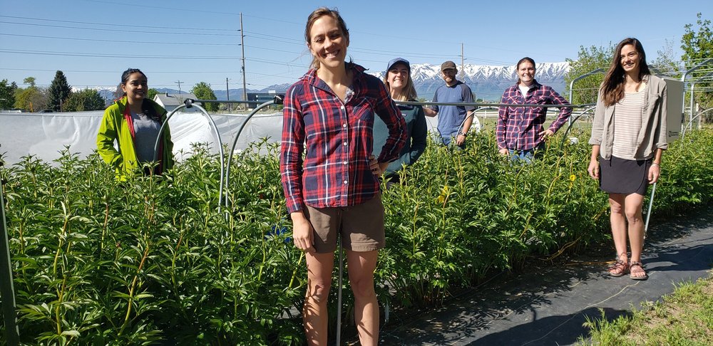 Fact Sheets — USU Small Farms Lab