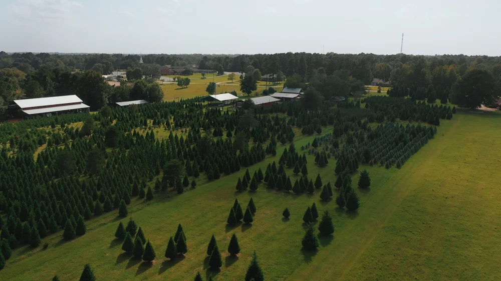 THE FARM — Jeremy Thomley