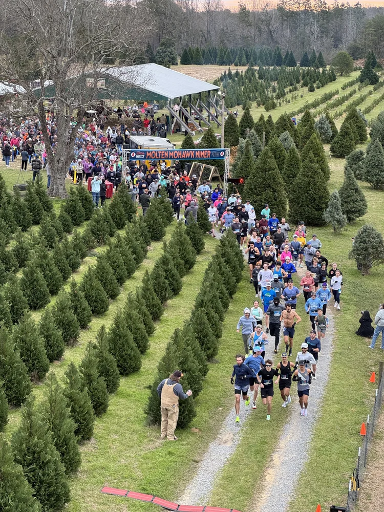 THE FARM — Jeremy Thomley