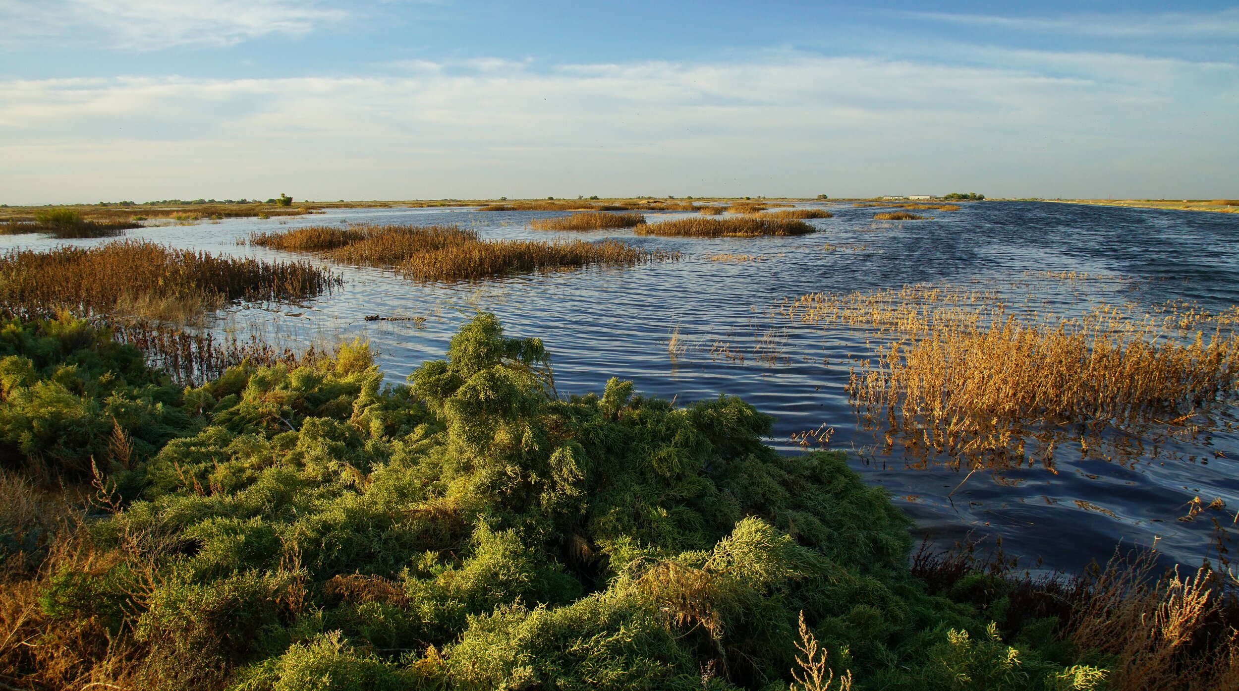 Tule Basin Land & Water Conservation Trust