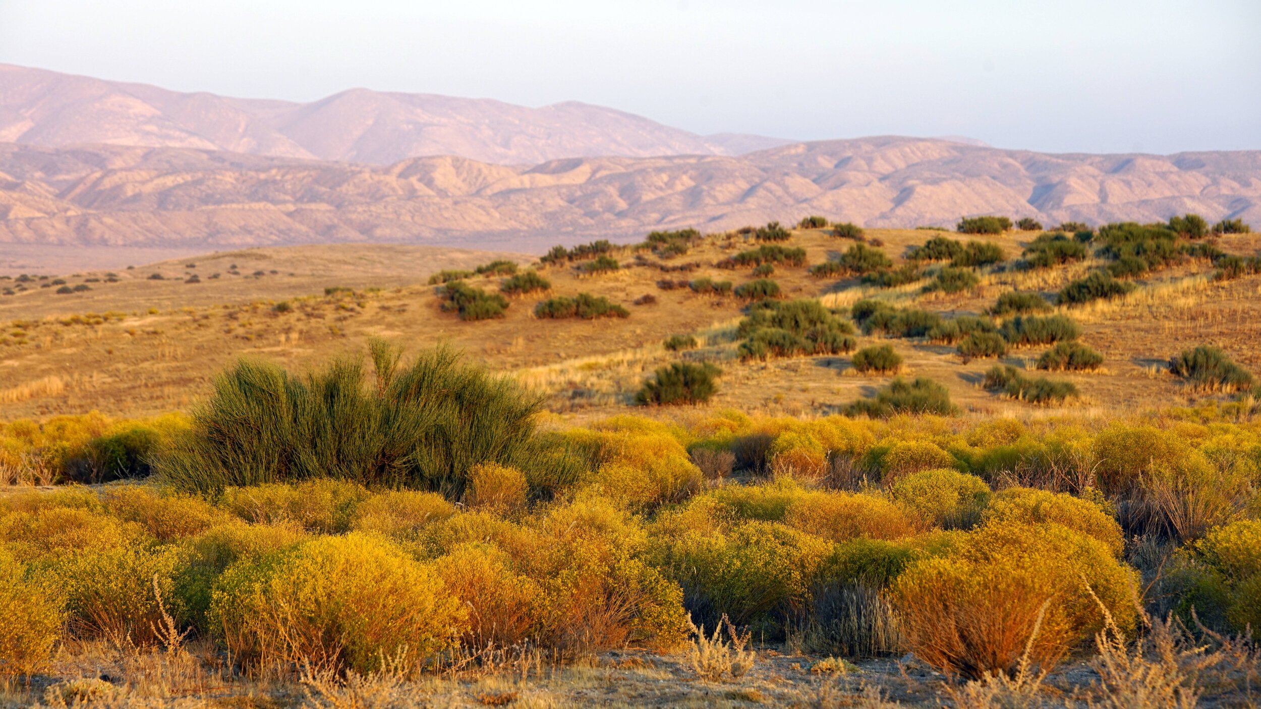 About — Tule Basin Land & Water Conservation Trust