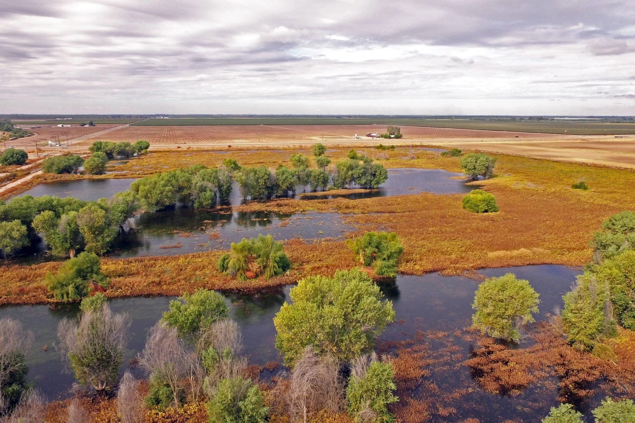 Tule Basin Land & Water Conservation Trust