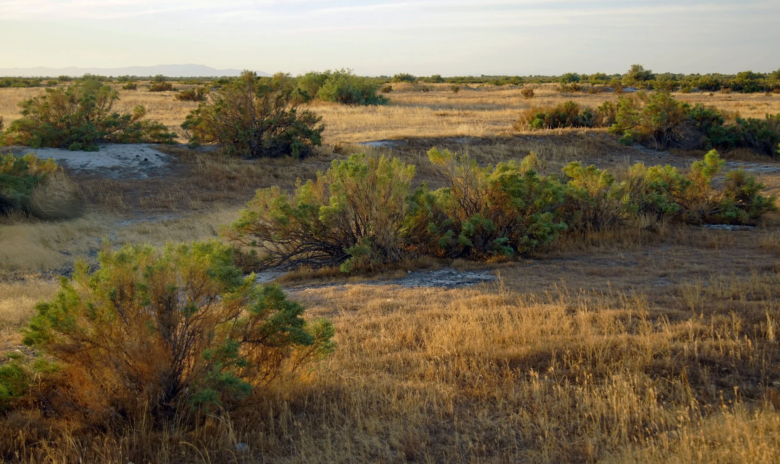 About — Tule Basin Land & Water Conservation Trust