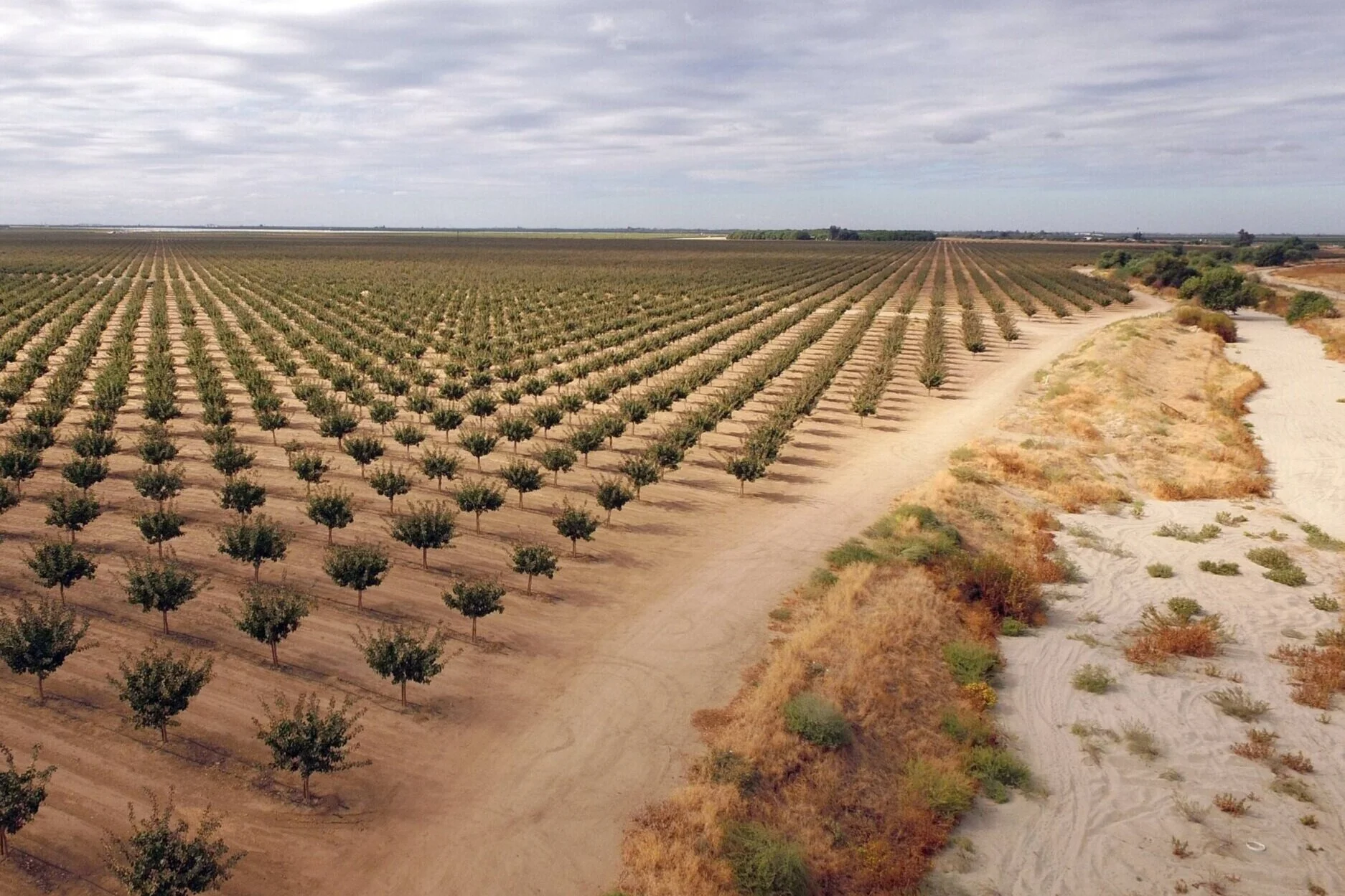 Tule Basin Land & Water Conservation Trust