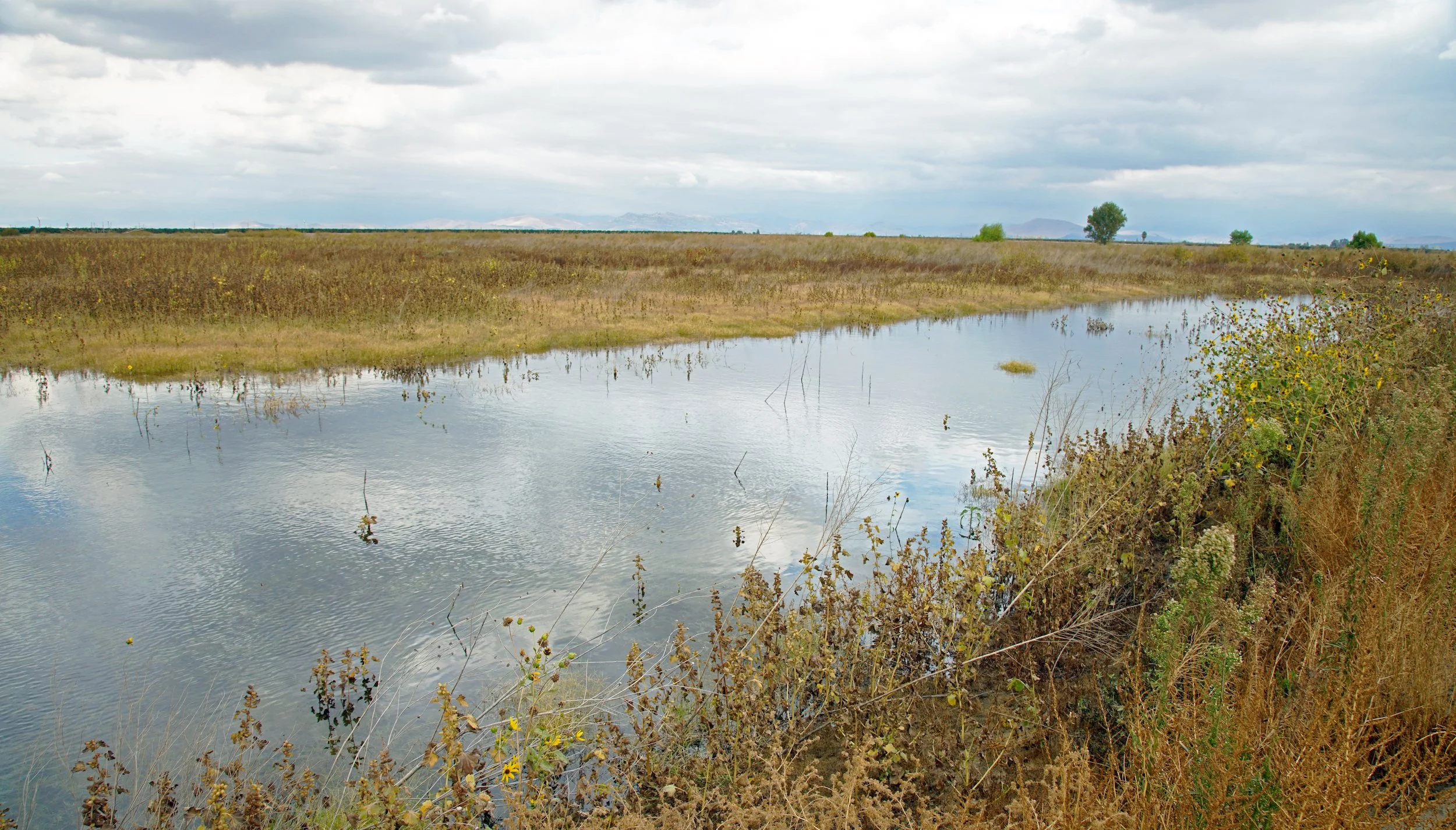 Tule Basin Land & Water Conservation Trust