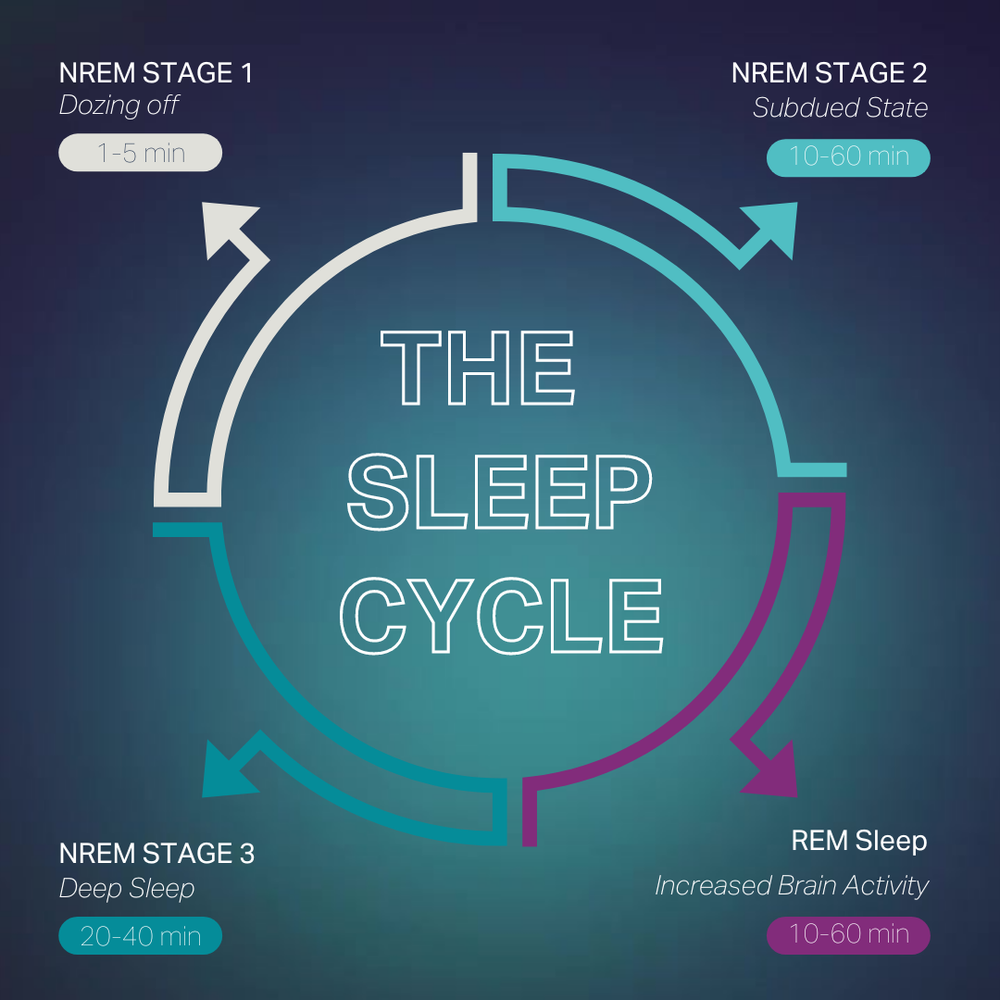 Sleep Stages: Understanding Your Sleep Cycles – AVKIU