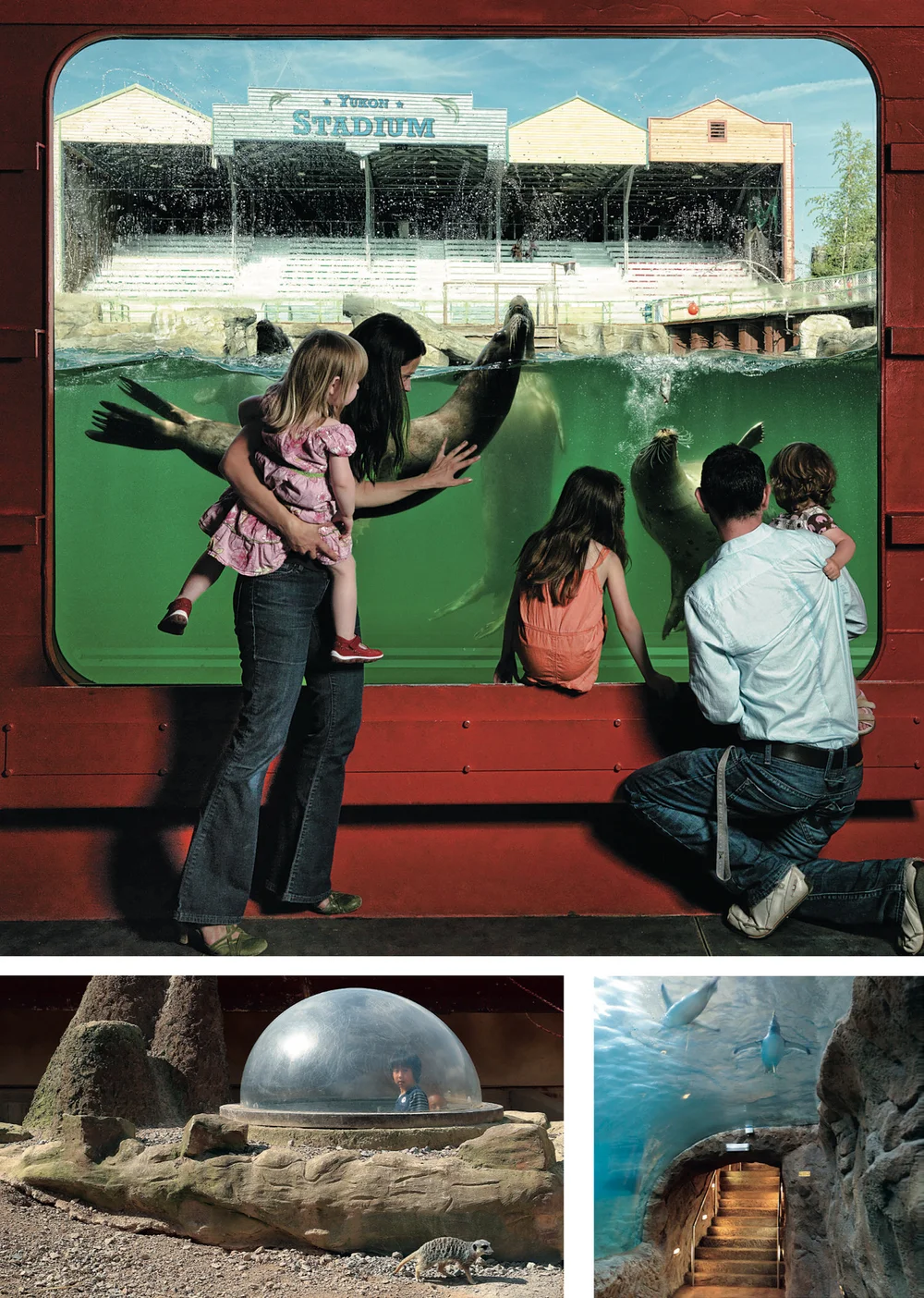 Designing for Lions, Tigers, and Bears (Oh My!) — The Creative Factor