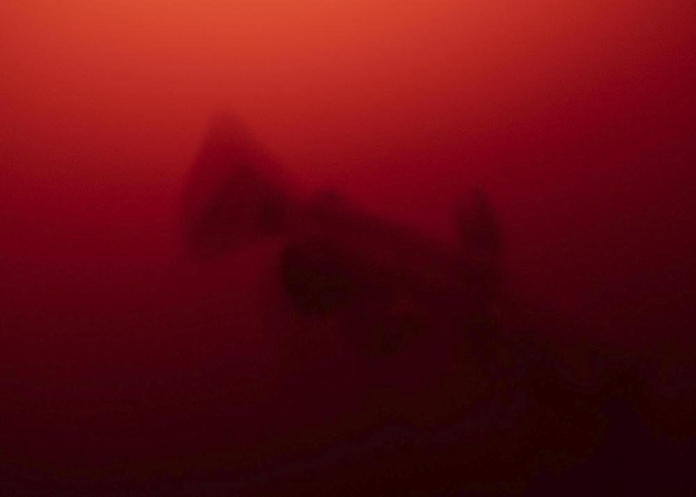 Frenchman Nicolas Floc’h Traveled 13,000 Miles to Photograph All the Colors of the Mississippi ...