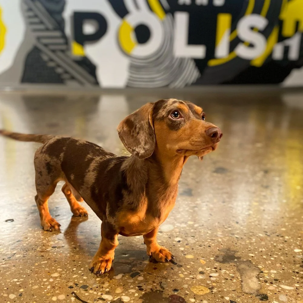 How I Work: Sam Wilkes, Creative Director, Vault49 — The Creative Factor