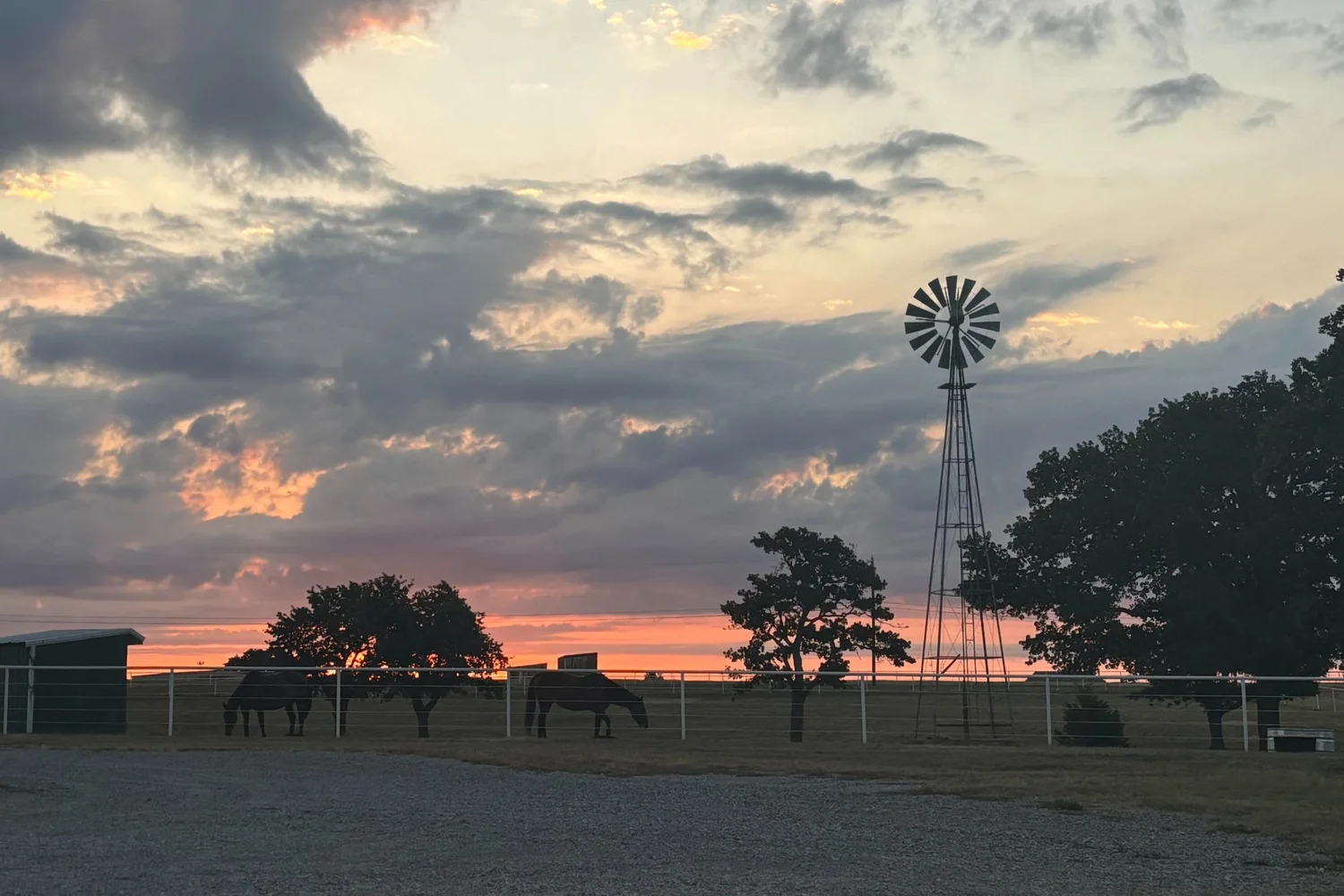 Willow Ranch, Equine Assisted Counseling