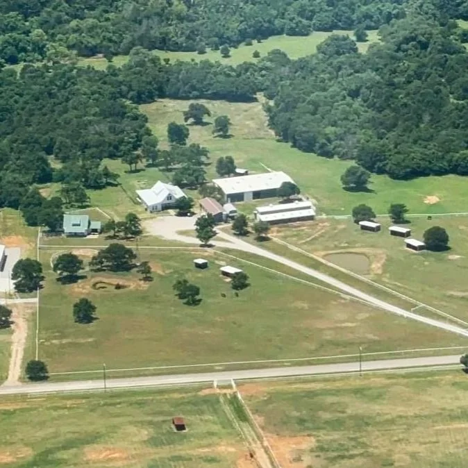 About — Willow Ranch, Equine Assisted Counseling